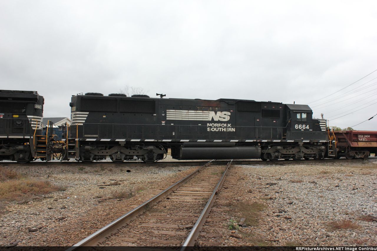 NS 6664